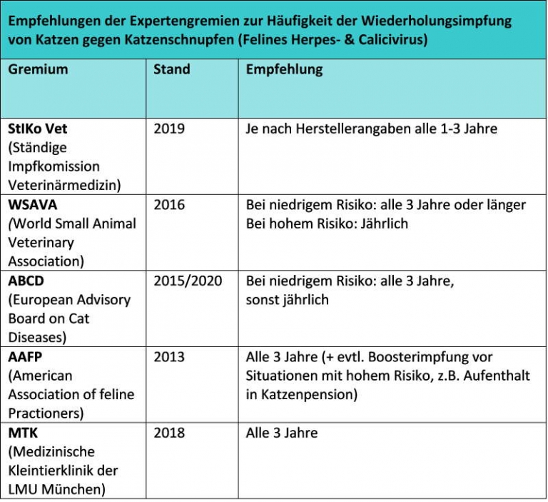 Katze impfen: Wann, was und wie oft?| Impf-Guide 2026