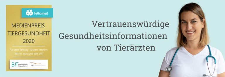 Rattengift/Mäusegift „Alpha-Chloralose“: Vergiftung bei Katzen und Hunden